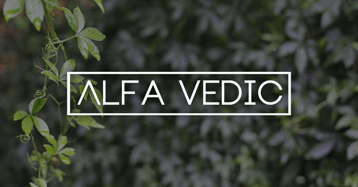 AV Black Friday Sale – Alfa Vedic